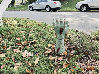 Zombie Arm XL by Stag 3D MakerWorld: Download Free 3D Models