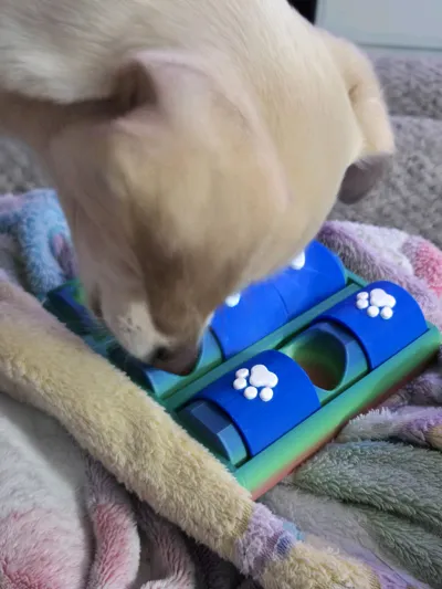 Print In Place Dog Enrichment Toy by Ava MakerWorld: Download Free 3D ...