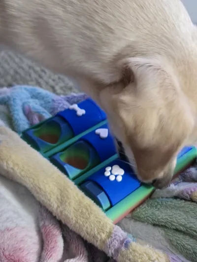 Print In Place Dog Enrichment Toy by Ava MakerWorld: Download Free 3D ...