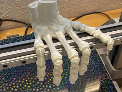 Articulated Skeleton Hand(Print in place) by 3D URSA MakerWorld ...