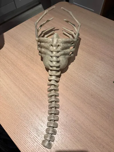 Facehugger Mask - Free 3D Print Model - MakerWorld