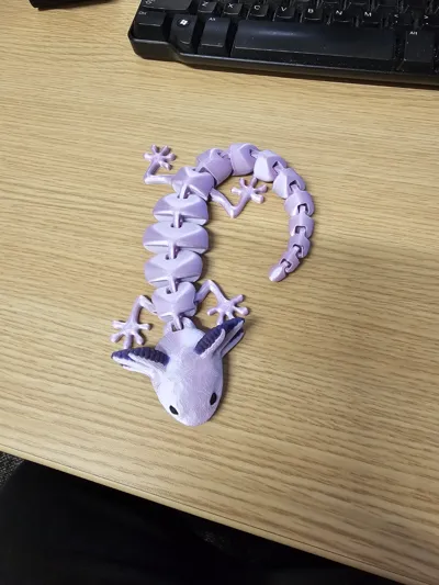 Multi Color Articulated / Flexi Axolotl Remixed by TheTrout MakerWorld: Download Free 3D Models