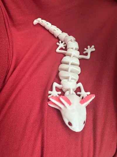 Multi Color Articulated / Flexi Axolotl Remixed by TheTrout MakerWorld: Download Free 3D Models