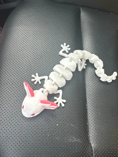 Multi Color Articulated / Flexi Axolotl Remixed by TheTrout MakerWorld: Download Free 3D Models