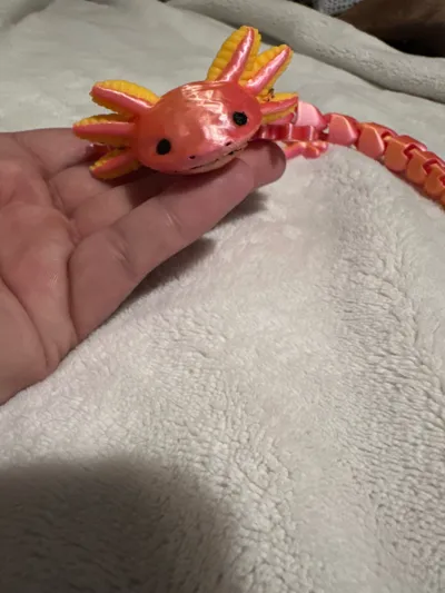 Multi Color Articulated / Flexi Axolotl Remixed by TheTrout MakerWorld: Download Free 3D Models