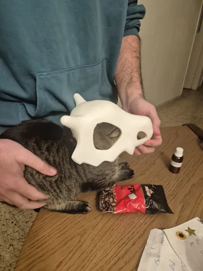 Dog and Cat Mask (Cubone from Pokémon) by Notorious MakerWorld ...