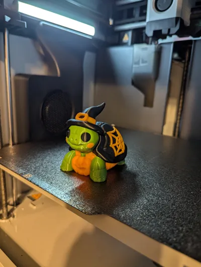 Wanda the Witchy Turtle by 3DMDesign - MakerWorld