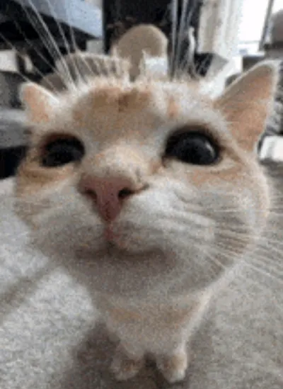 Perfect TPU print settings by SpicyElephant MakerWorld: Download Free ...