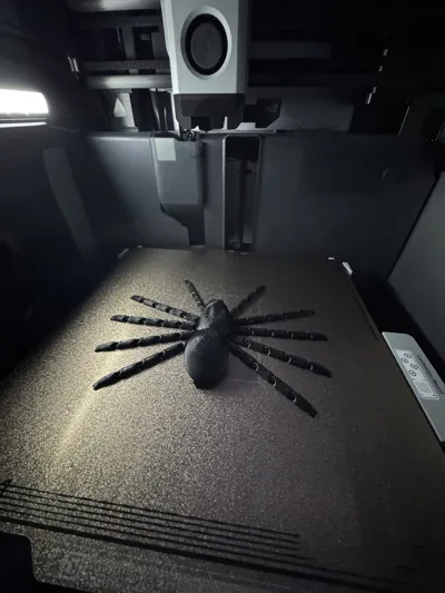 Flexi spider by uni3Dworld MakerWorld: Download Free 3D Models