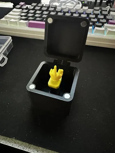 Middle Finger Gift Box Prank Middle Finger (DIY Version, Not for ...