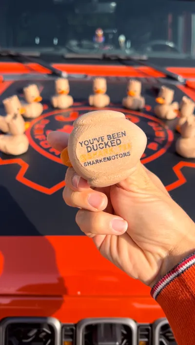 Groot Duck! by Romwba3D MakerWorld: Download Free 3D Models