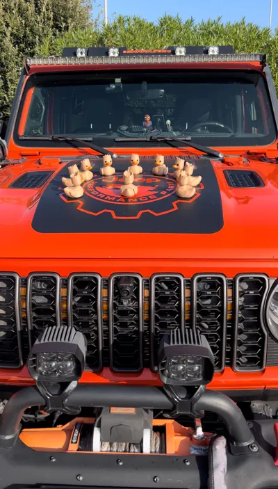 Groot Duck! by Romwba3D MakerWorld: Download Free 3D Models