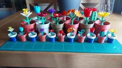 Springy Flower Collection by LIG Computer MakerWorld: Download Free 3D ...