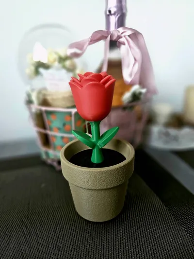 Springy Flower Collection by LIG Computer MakerWorld: Download Free 3D ...