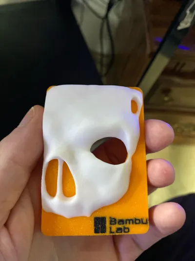 Skull Extruder Front Cover V3 - A1 and A1 Mini by MakerViking ...