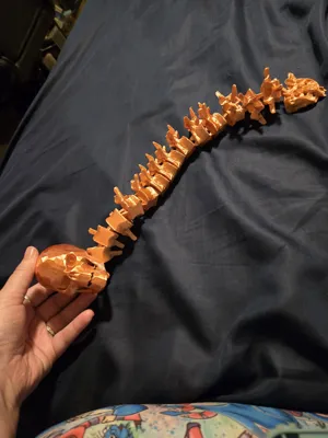 Articulated Halloween Spine and Skull by Bofonchio MakerWorld: Download ...