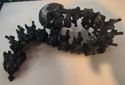 Articulated Halloween Spine and Skull by Bofonchio MakerWorld: Download ...