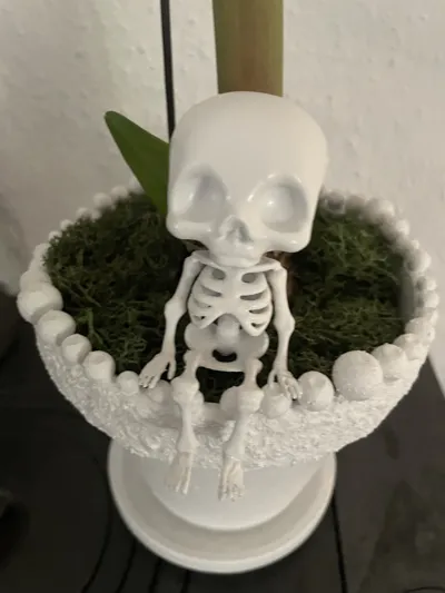 Sitting skeleton by Hold_Ctrl MakerWorld: Download Free 3D Models