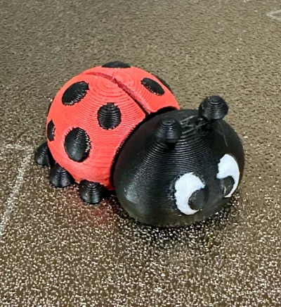 Cute Articulated Baby Ladybug by DuckyPrinted MakerWorld: Download Free ...