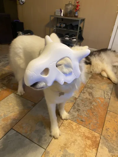 Pokemon Cubone Skull Mask for Cosplay or Decor by Afran3D MakerWorld ...