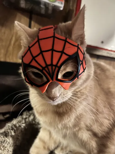 Spidercat Mask by 3DBlueprint.io MakerWorld: Download Free 3D Models