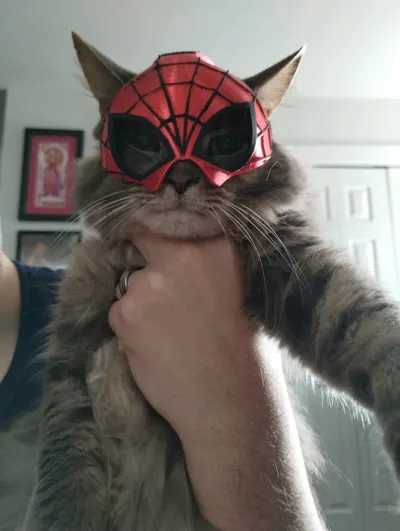 Spidercat Mask by 3DBlueprint.io MakerWorld: Download Free 3D Models