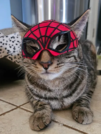 Spidercat Mask by 3DBlueprint.io MakerWorld: Download Free 3D Models