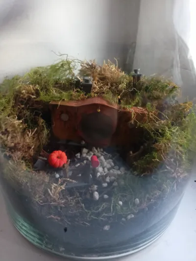 Hobbiton Inspired Bonsai Terrarium Pot by Jinto Creates MakerWorld ...