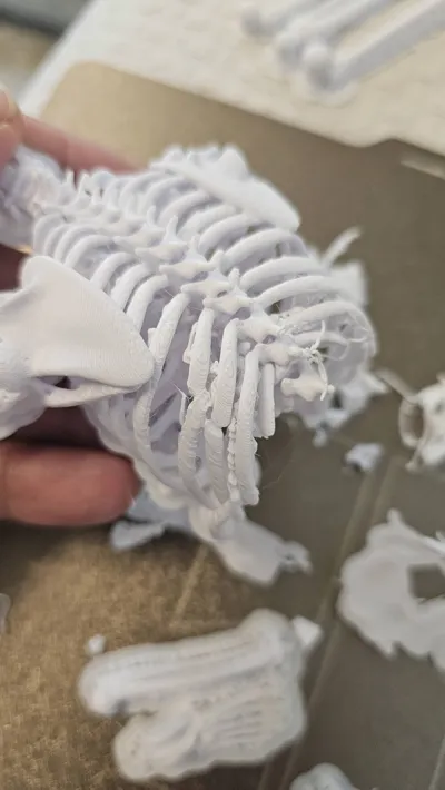 Articulated Skeleton - Free 3D Print Model - MakerWorld