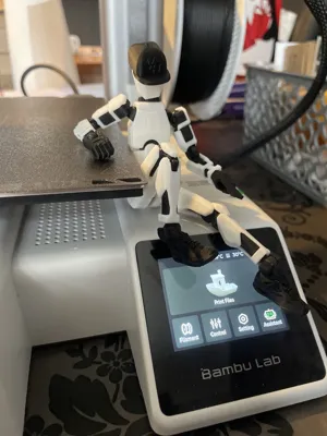 dummy 13 cap by 3DprintStudio VH - MakerWorld