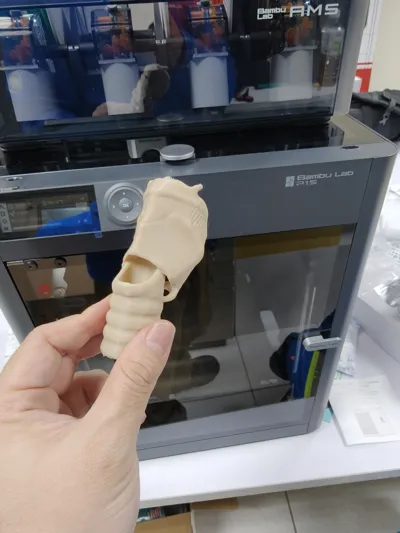 Cric Airway Trainer - Free 3D Print Model - MakerWorld