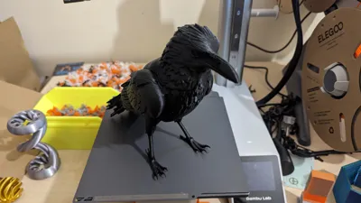 Preeing Raven Remixed by Maderen - MakerWorld