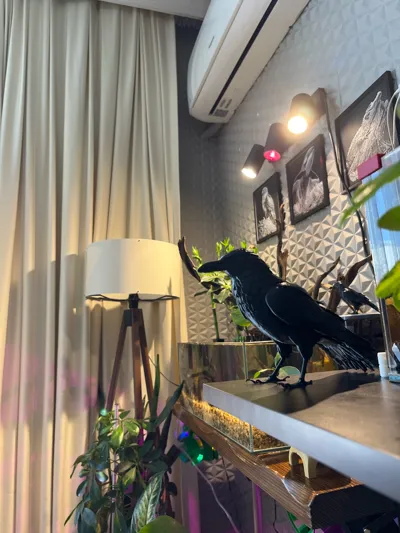 Preeing Raven Remixed by Maderen MakerWorld: Download Free 3D Models