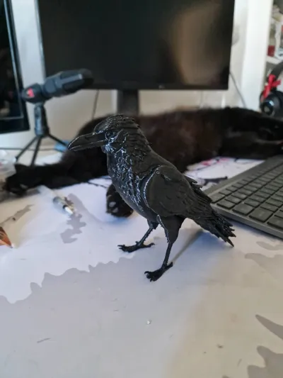 Preeing Raven Remixed by Maderen MakerWorld: Download Free 3D Models