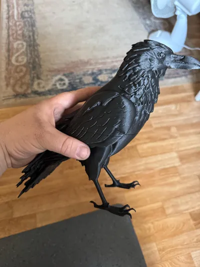 Preeing Raven Remixed by Maderen MakerWorld: Download Free 3D Models