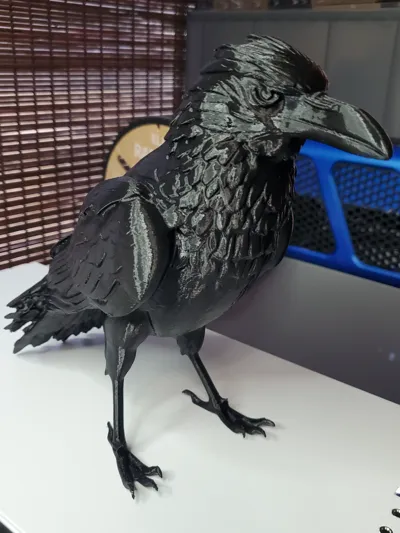 Preeing Raven Remixed by Maderen - MakerWorld