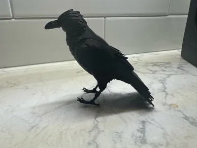 Preeing Raven Remixed by Maderen MakerWorld: Download Free 3D Models