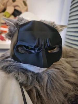 Batman Cat Mask - Free 3D Print Model - MakerWorld