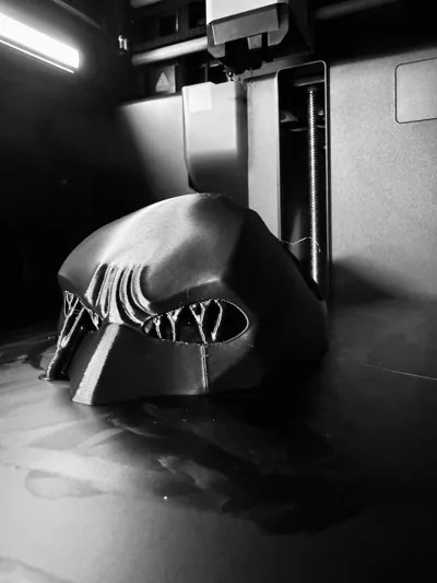 Batman Cat Mask - Free 3D Print Model - MakerWorld
