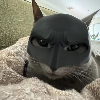 Batman Cat Mask - Free 3D Print Model - MakerWorld