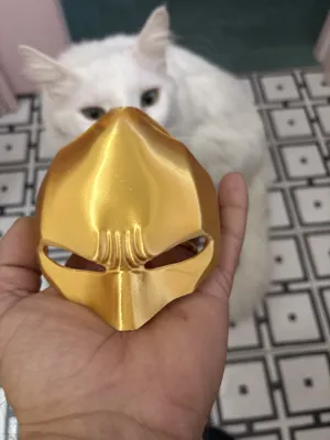 Batman Cat Mask - Free 3D Print Model - MakerWorld
