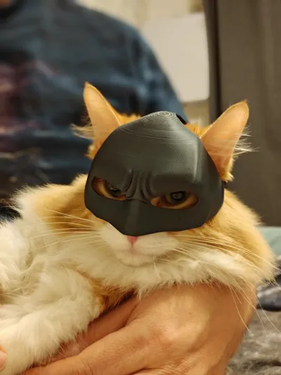 Batman Cat Mask - Free 3D Print Model - MakerWorld
