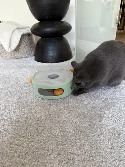 1kg Spool Cat Toy - Free 3D Print Model - MakerWorld