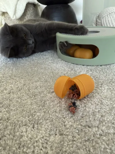 1kg Spool Cat Toy - Free 3D Print Model - MakerWorld