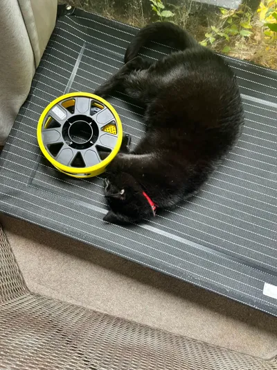 1kg Spool Cat Toy by Hexus 3D MakerWorld: Download Free 3D Models