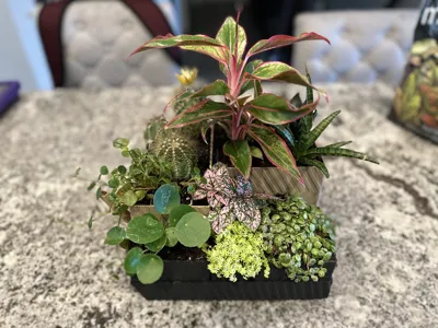 Gridfinity Modular Planter System by Hopper_Dropper MakerWorld ...