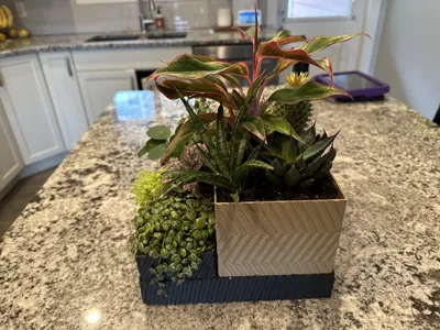 Gridfinity Modular Planter System by Hopper_Dropper MakerWorld ...