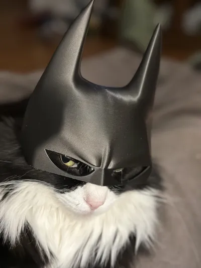 Batman Cat Helmet by Azir MakerWorld: Download Free 3D Models