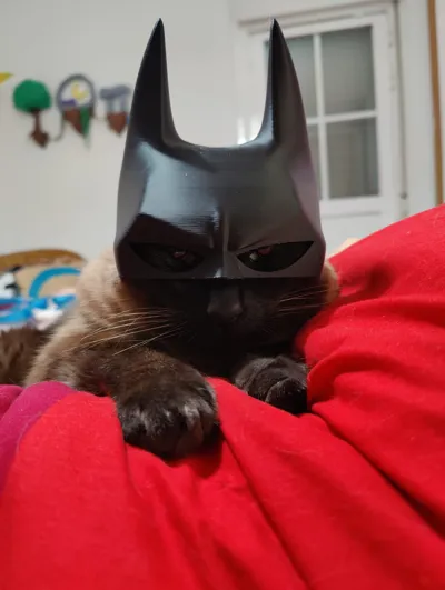 Batman Cat Helmet by Azir MakerWorld: Download Free 3D Models
