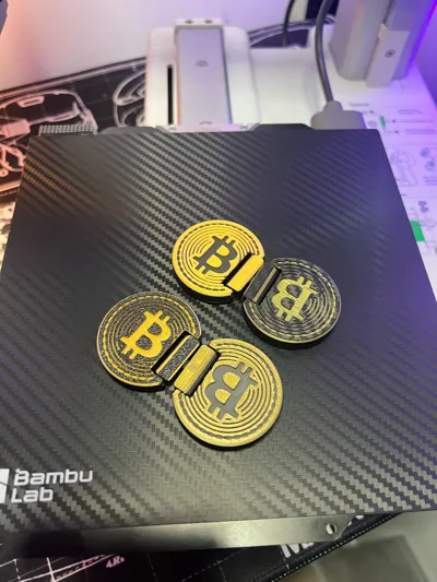 Slip and Slide Fidget Bitcoin coin by gobotoru MakerWorld: Download ...